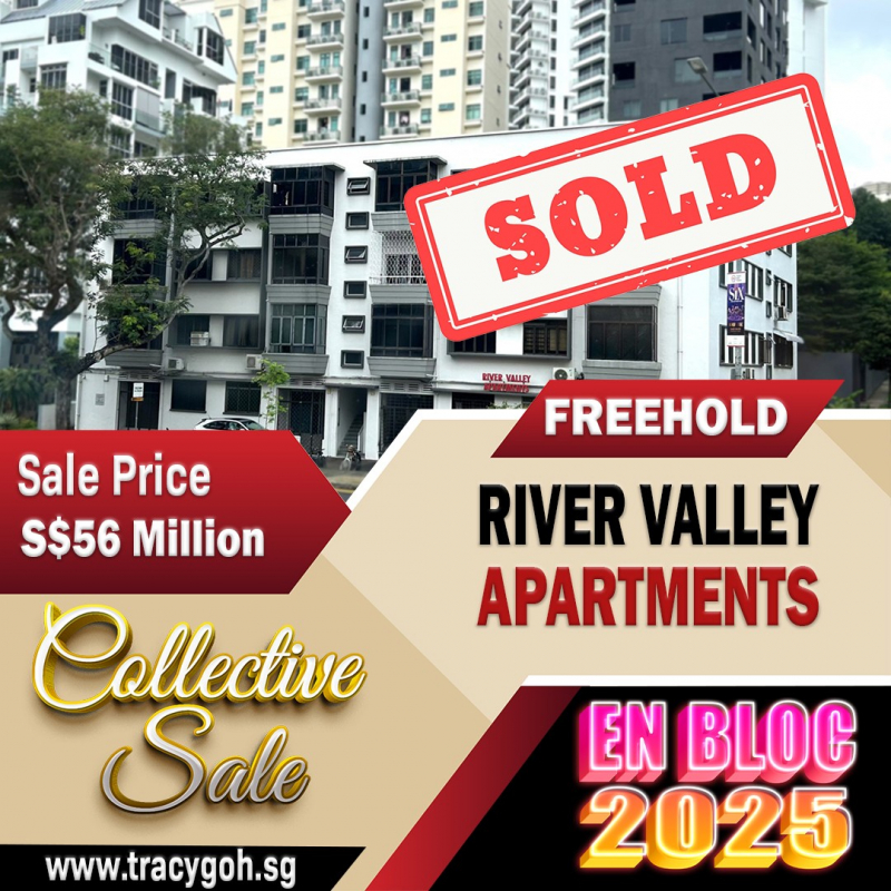 Tanglin Shopping Centre En Bloc Sale 2021/22 - Prime D10